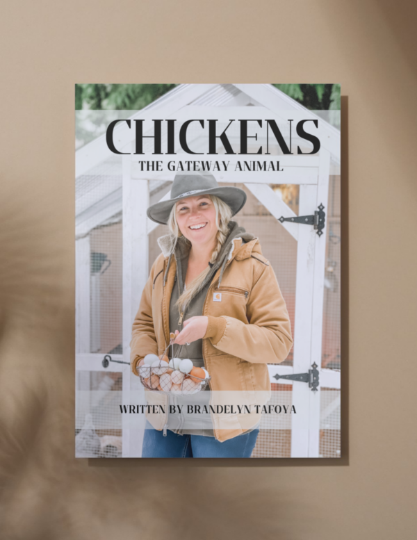 Homemade Flour Tortillas – Pivot Farm