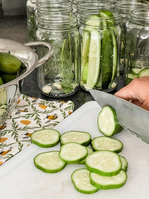 Homemade Dill Pickles – Pivot Farm